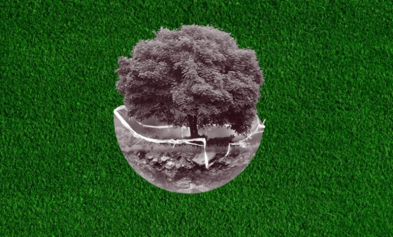 How Big is a Pint of Ice Cream? A Deep Dive Into Size and More